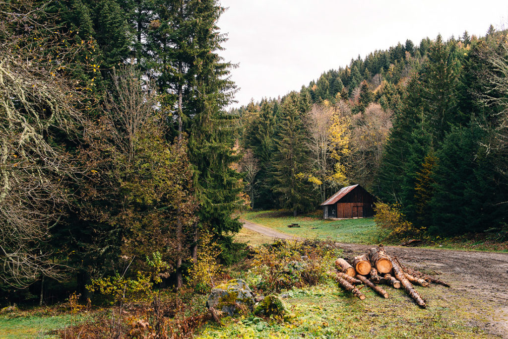 Formid’Alpes – Du Lac du Luitel au Col du Revard – Jour 7 - Retour du Monde